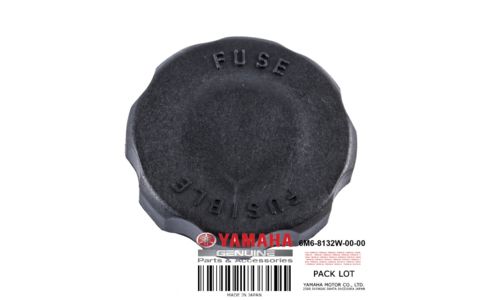 OEM Yamaha Electrical Box Cap – TheRaceShackMarine